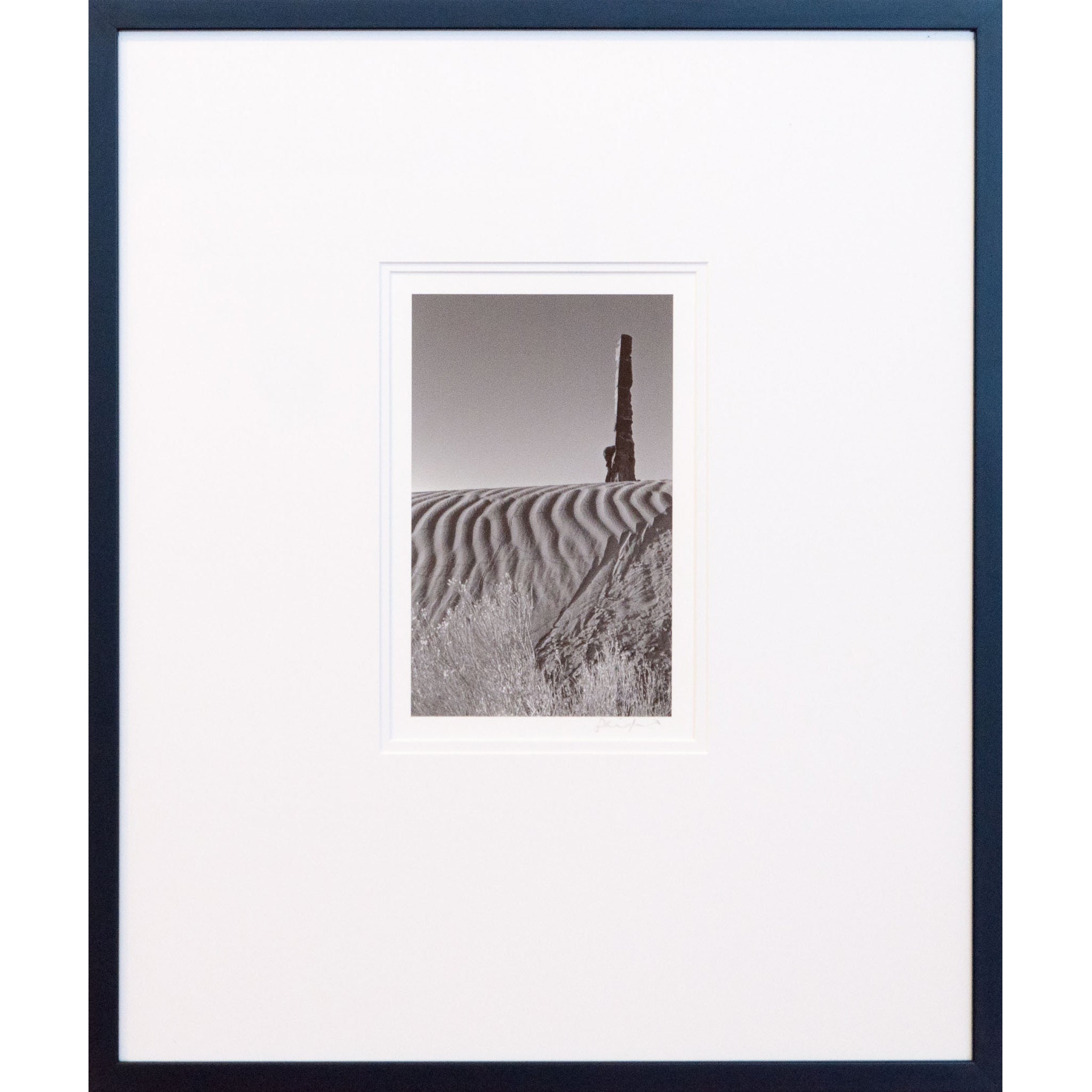 Insect Tracks Print – The Emporium