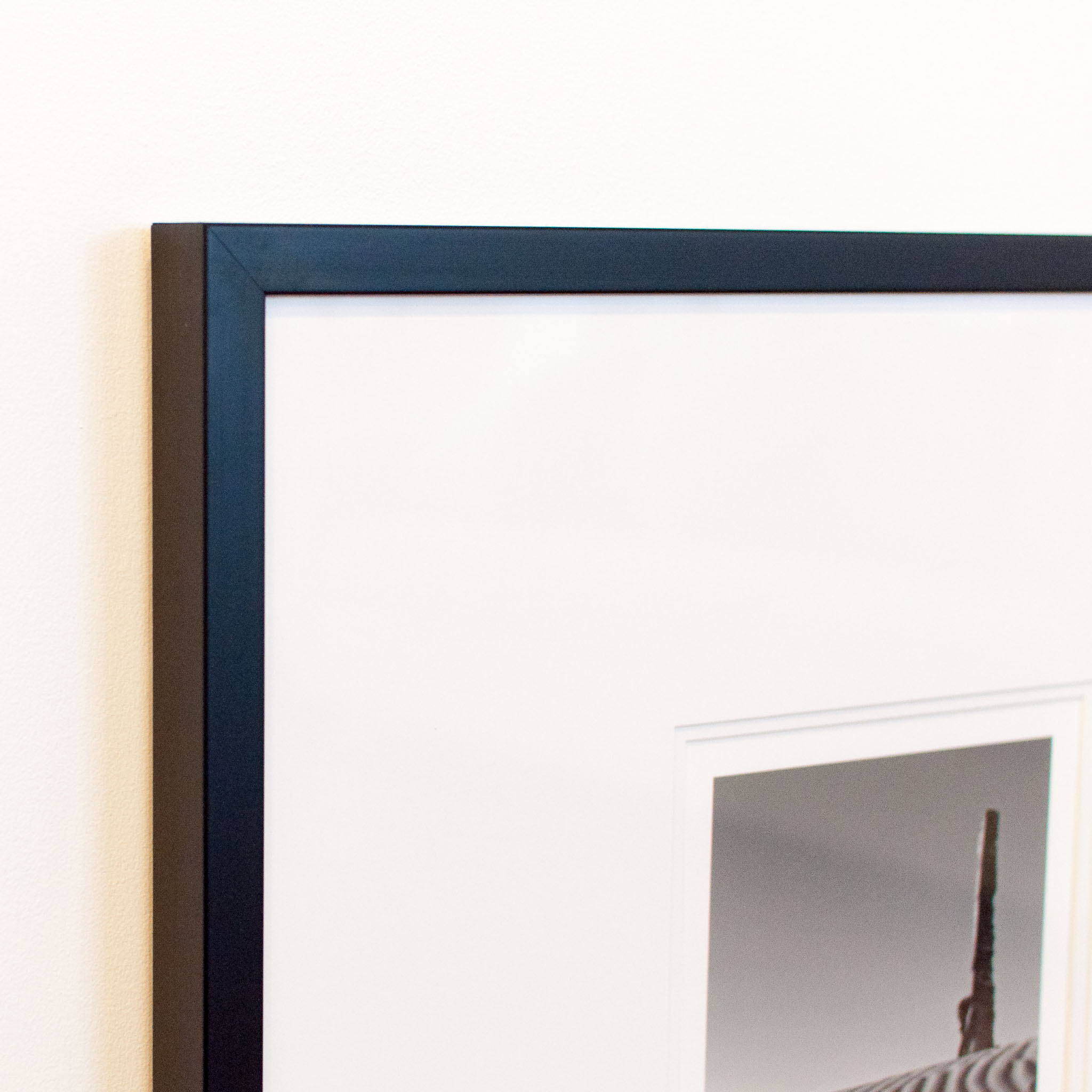 Insect Tracks Print – The Emporium