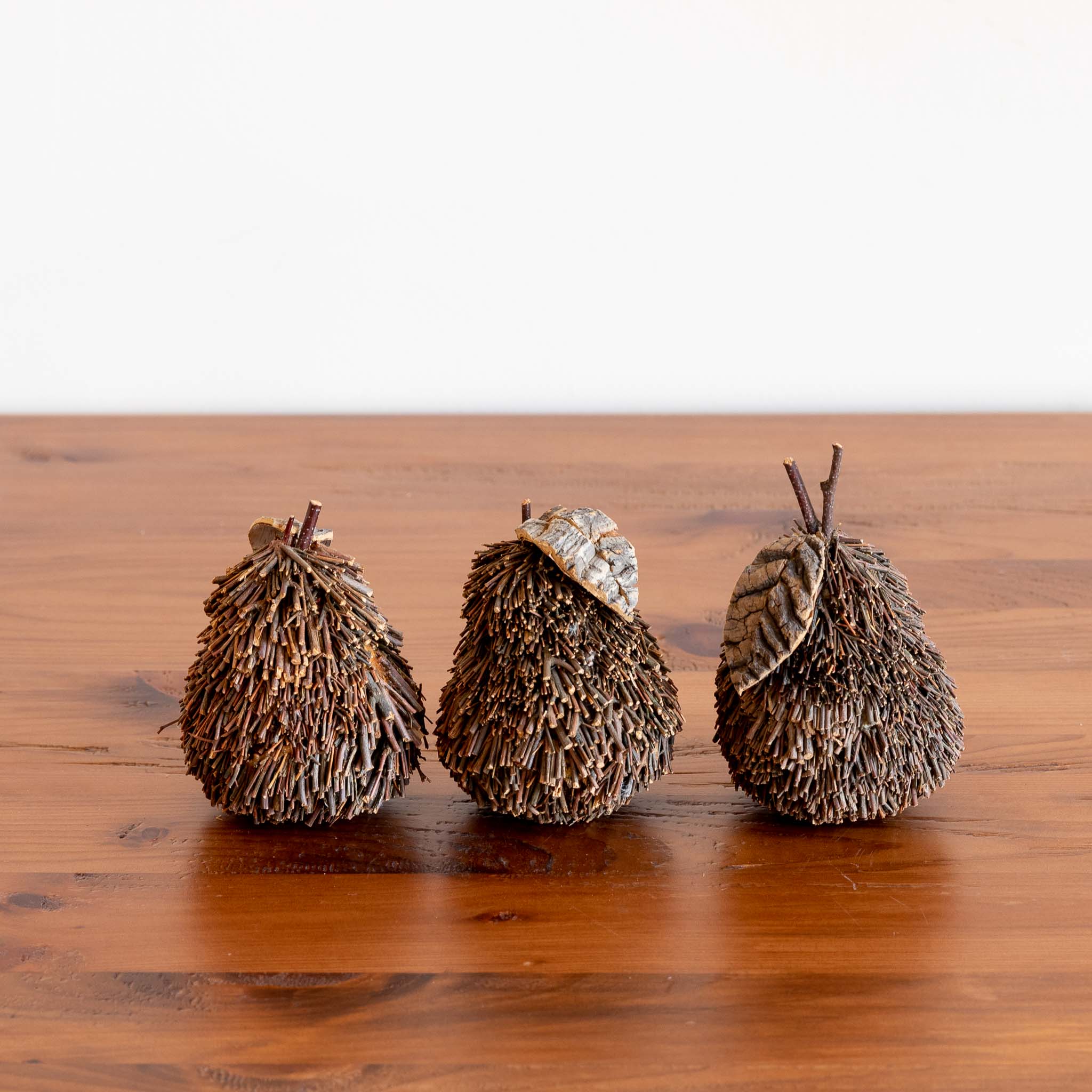 Pear Acorns – The Emporium