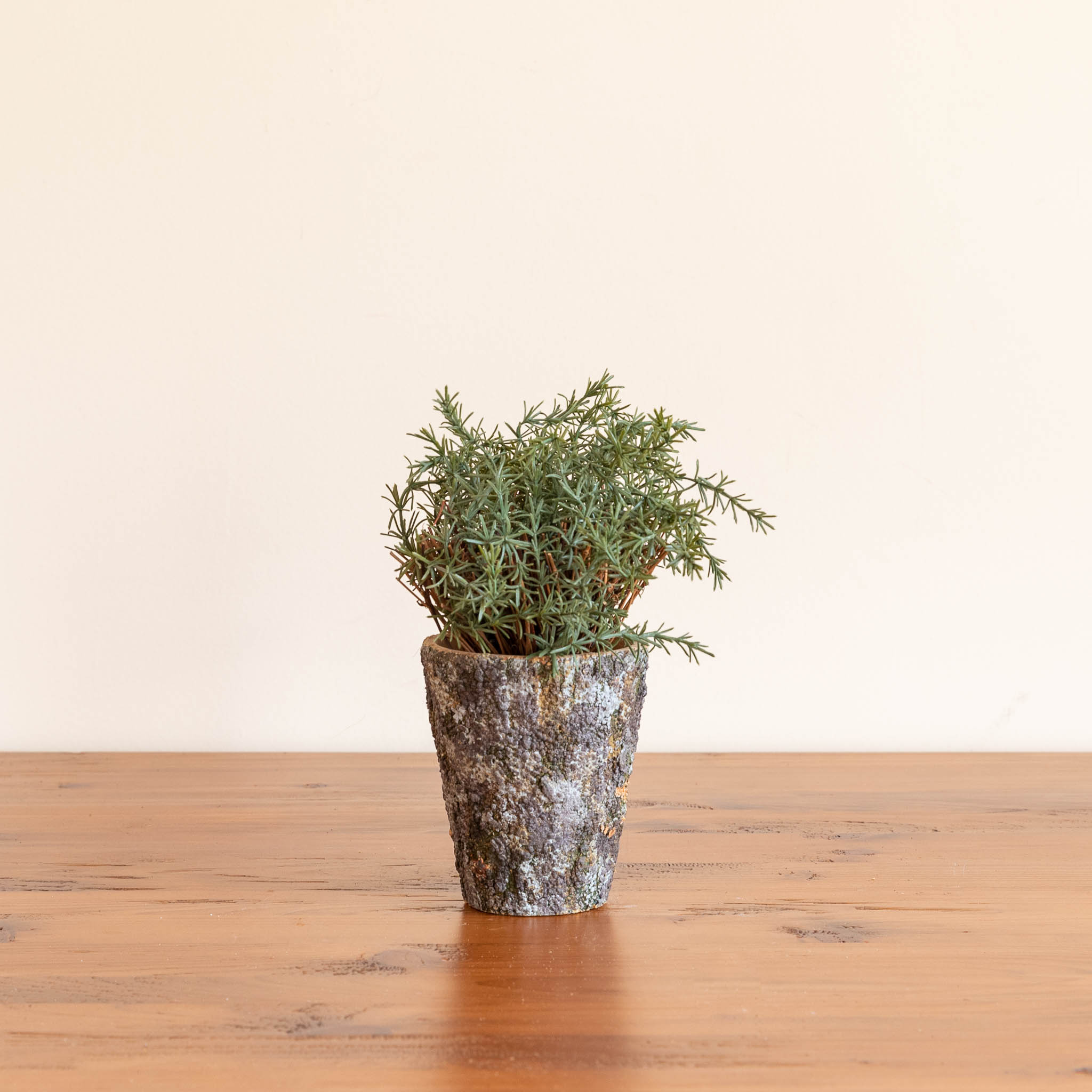 Bark Pot – The Emporium