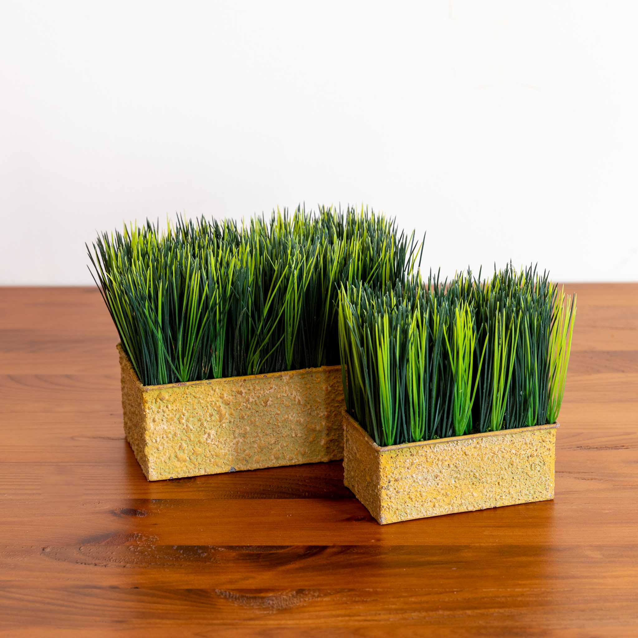 Potted Grass – The Emporium